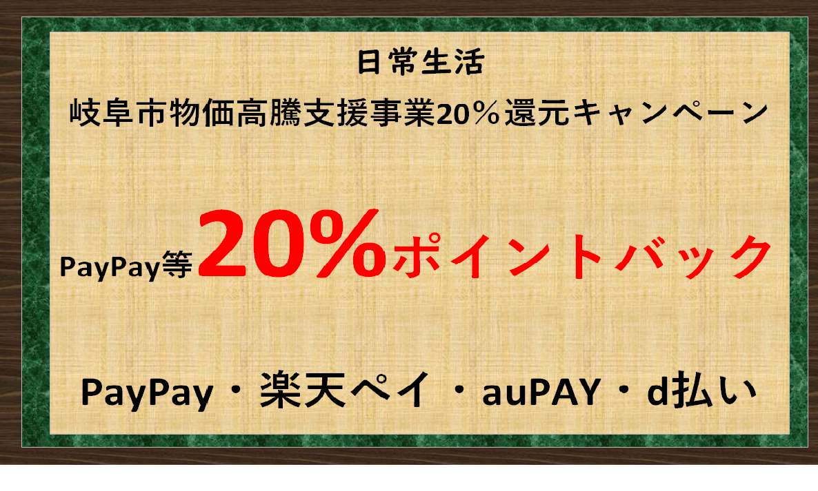 岐阜市PayPay等20％ポイントバック・キャンペーン（2025/11/26~12/25まで） | へー、そうなんだ
